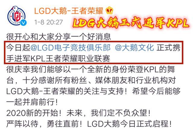 王者荣耀：LGD收购Hope进军KPL，虎妞任赛训总监，猪哼转行解说_腾讯新闻