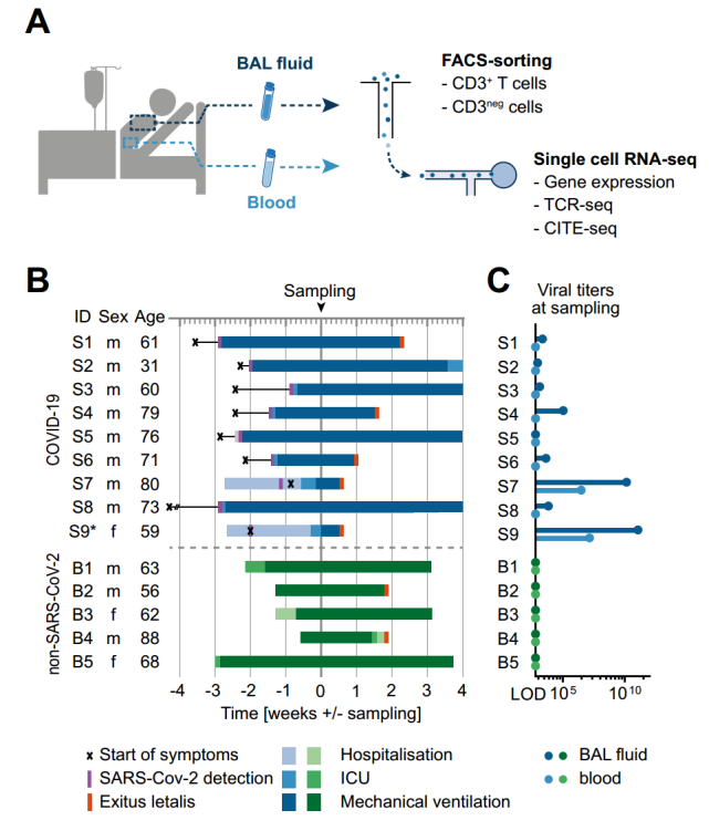 Sci Immunol｜赵宇等揭示重症新冠患者T细胞免疫反应_腾讯新闻