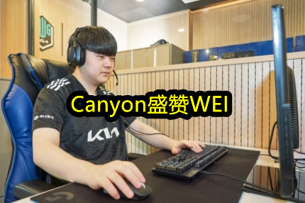 WEI是RNG的绝对核心？Canyon专访用19字给予盛赞，并下达战书_腾讯新闻