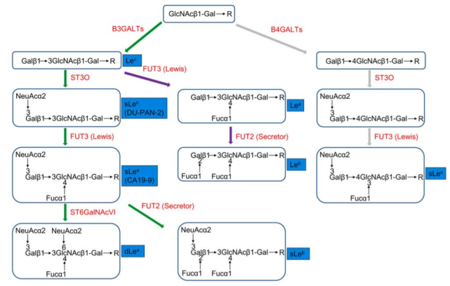 CA199升高数倍＝癌症？千万别忽视这5种可能！_腾讯新闻
