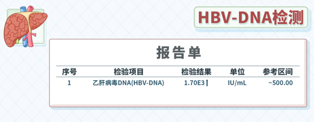 乙肝五项、病毒DNA、前S1抗原……关于乙肝的各项检查到底应该做哪个？_腾讯新闻