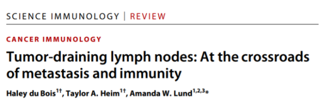 真菌影响肿瘤放疗效果？Sci Immunol 深入解读肿瘤引流淋巴结 ｜3 分钟掌握肿瘤动态_腾讯新闻
