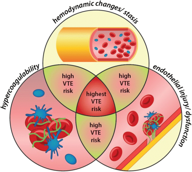 较真｜口服避孕药真的会引起血栓吗？如何避免？_腾讯新闻