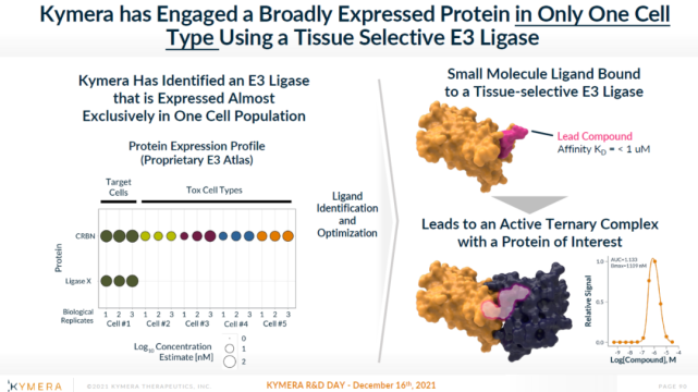 靶向蛋白降解下一步走向何方？Kymera公布最新研发方向（附PDF）_腾讯新闻