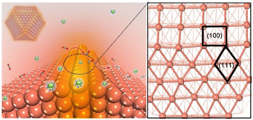 JACS：CO2RR高效C2＋产物活性位点Cu（100）/Cu（111）界面_腾讯新闻