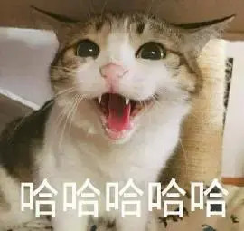 yyds，nbcs，xswl 都是什么意思？00后常用“网络黑话”你认识几个？_腾讯新闻