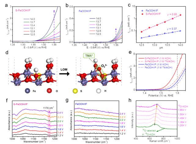 AFM：金属和晶格氧反应活性双重激发提升电催化OER_腾讯新闻