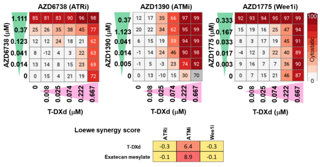 盛湲教授：ADC药物的狂欢—AACR T-DXd最新数据盘点_腾讯新闻