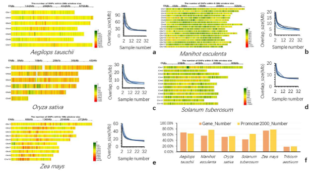 The Innovation｜突破极限：Hyper-seq助力大数据育种变革_腾讯新闻