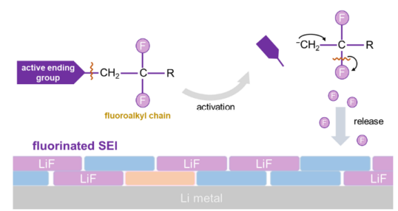 Angew.Chem.Int.Ed.：分子合理设计构建氟化SEI助力锂金属电池实用化_腾讯新闻