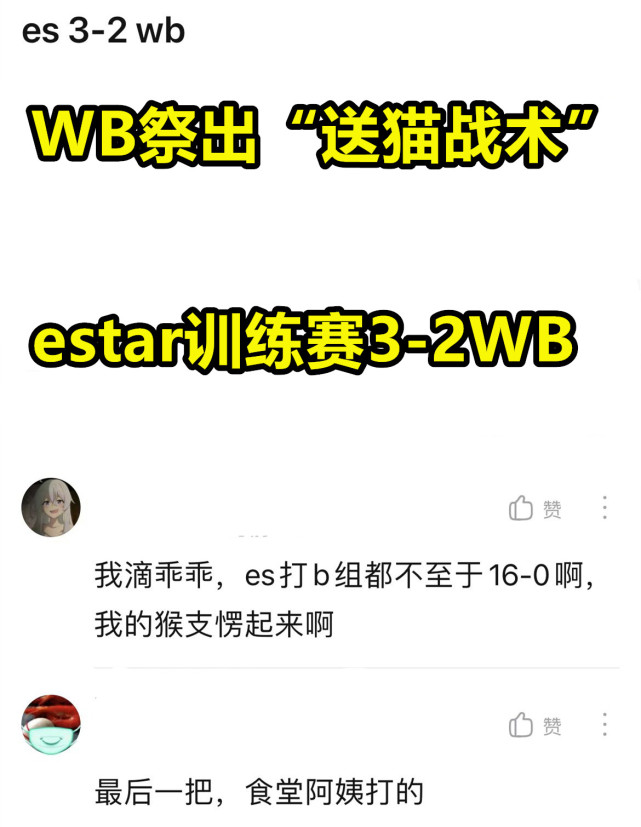 WB用“送猫战术”换训练赛？estar3-2WB：坦然马超“16-0”打懵WB_腾讯新闻