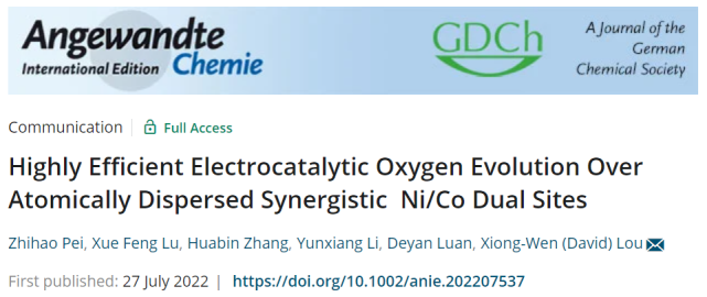 楼雄文团队Angew：Ni/Co双原子OER电催化剂_腾讯新闻