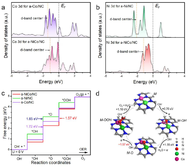 楼雄文团队Angew：Ni/Co双原子OER电催化剂_腾讯新闻
