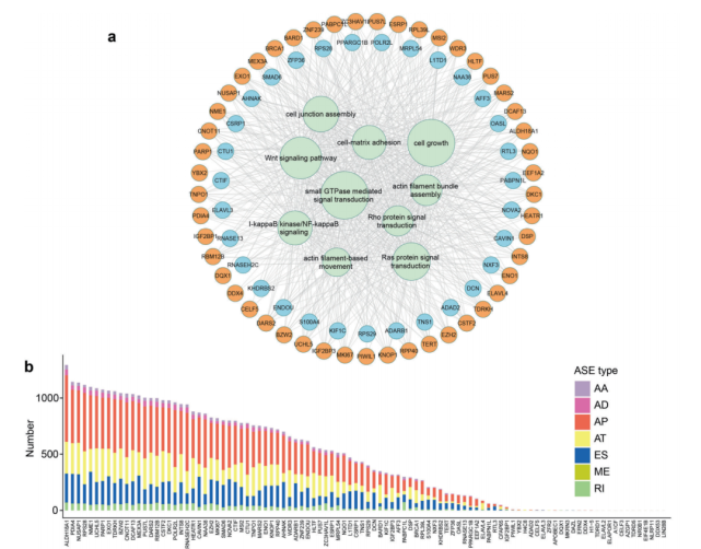 【STTT】北京协和医院通过多组学揭示肺癌RNA剪切意义_腾讯新闻