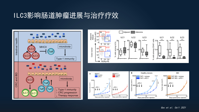 【图文实录】郭晓欢：肠道ILC3，仍待解密的免疫宝藏_腾讯新闻