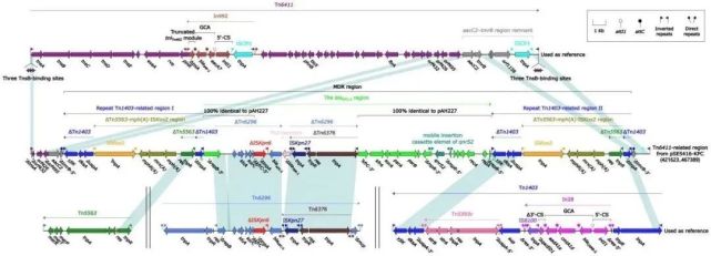 警惕产KPC酶ST463型高毒力高耐药铜绿假单胞菌在临床的流行_腾讯新闻