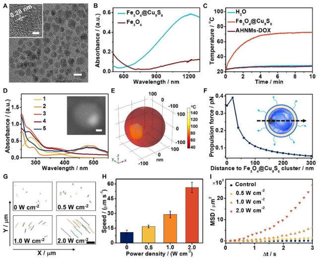 《Angew》南京大学刘颖：NIR-II光驱动的非对称水凝胶纳米马达用于增强免疫化疗_腾讯新闻