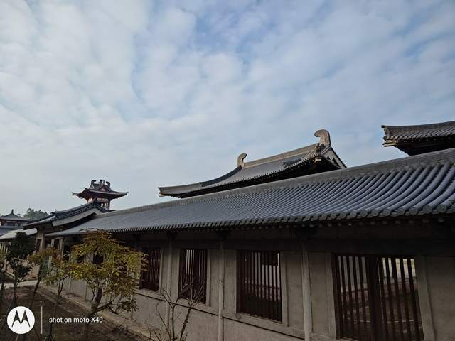 3399元起！moto X40首发评测：手机中的SUV，性能影像双巅峰_腾讯新闻