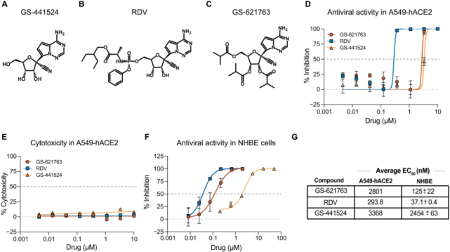 新冠口服药VV116登上NEJM的背后_腾讯新闻