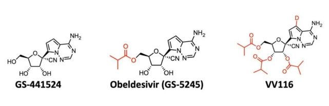 新冠口服药VV116登上NEJM的背后_腾讯新闻