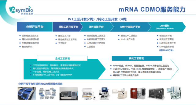 凯莱英生物高放博士：技术驱动工艺迭代，让中国mRNA CDMO走向世界_腾讯新闻