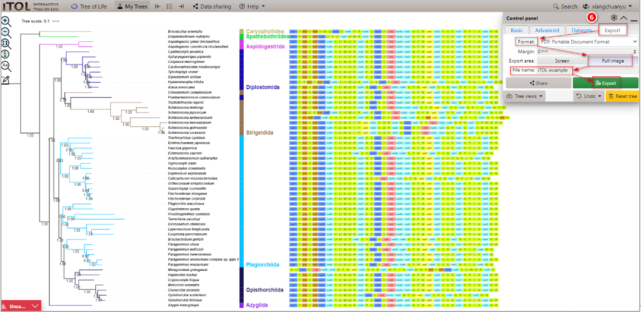 iMeta｜兰州大学张东青年研究员：使用PhyloSuite进行分子系统发育及系统发育树的统计分析_腾讯新闻