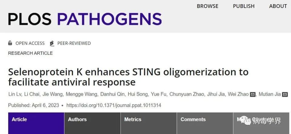 【前沿＆进展】PLoS Pathog︱山东大学贾木天研究员联合赵伟教授揭示硒蛋白调控抗病毒固有免疫新机制_腾讯新闻