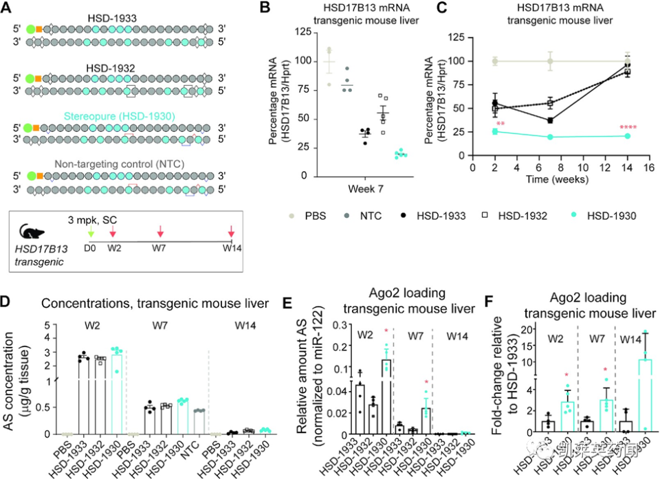立体纯PN修饰，可显著增强siRNA活性！Wave Life发表最新临床前研究数据_腾讯新闻