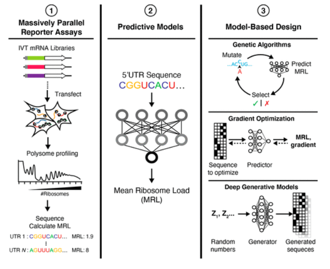 Moderna的野心：联合IBM，将人工智能、量子计算用于mRNA疫苗开发_腾讯新闻