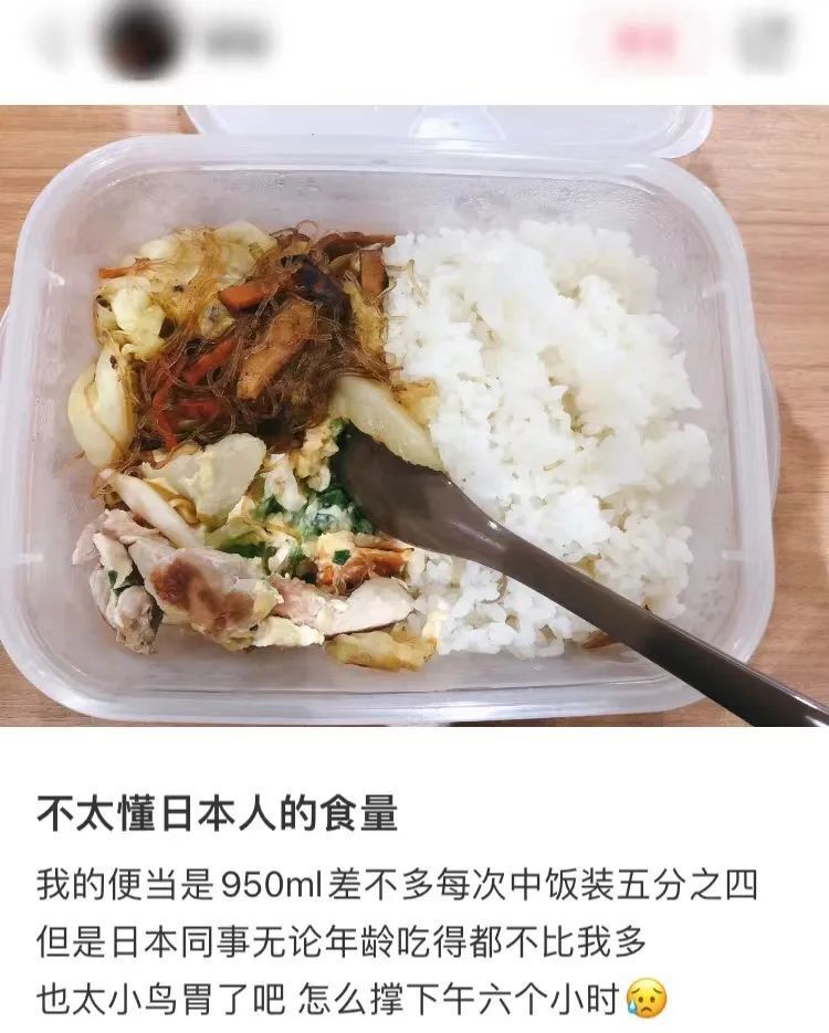 日本人的饭量真的是个谜！ 腾讯新闻