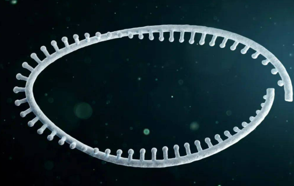 百度成果登Nature正刊：用AI优化设计更有效、更稳定的mRNA疫苗_腾讯新闻