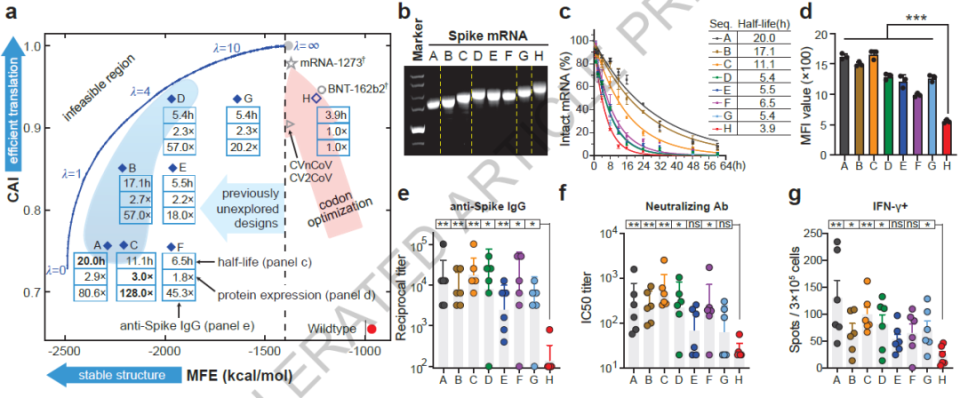 百度/斯微生物合作发表Nature论文：用AI优化设计更有效、更稳定的mRNA疫苗_腾讯新闻