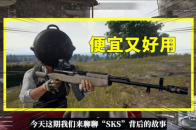 吃鸡小讲堂：SKS背后的故事，比肩98K的前苏联名枪，便宜又好用！_腾讯新闻