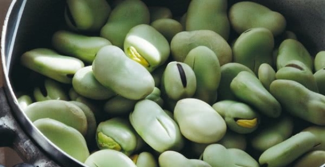 蚕豆病者禁用的常见药物看了这篇你就明白 腾讯新闻