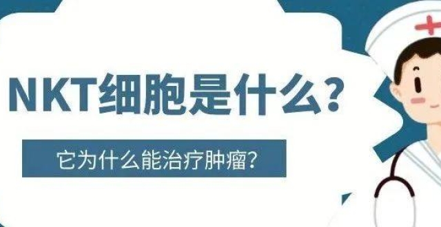 NKT、NK、T细胞，谁才是肿瘤细胞的超级杀手？_腾讯新闻