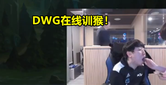 Khan发出猴叫，DWG在线训猴，Doinb内疚：他只是人不在FPX了_腾讯新闻
