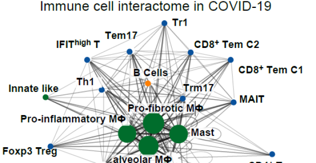 Sci Immunol｜赵宇等揭示重症新冠患者T细胞免疫反应_腾讯新闻