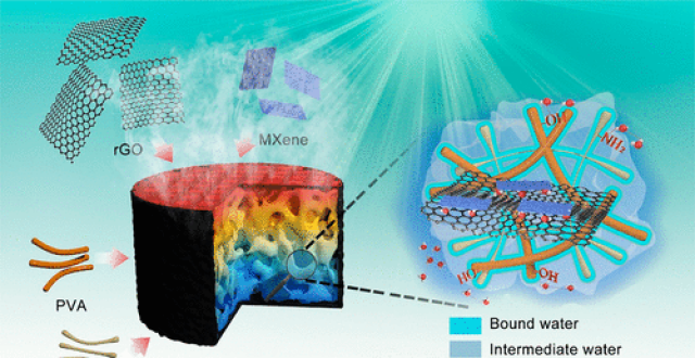 南京林业大学杨小飞《ACS Nano》烯/PVA/壳聚糖水凝胶表面图案化，用于高产太阳能蒸汽_腾讯新闻