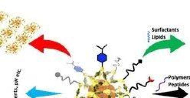 《JPC Lett.》综述：基于AIE高发光金属纳米团簇组装的驱动力和途径_腾讯新闻