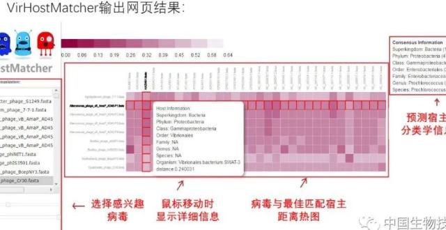 微课堂：VirHostMatcher——国家微生物科学数据中心云工具_腾讯新闻