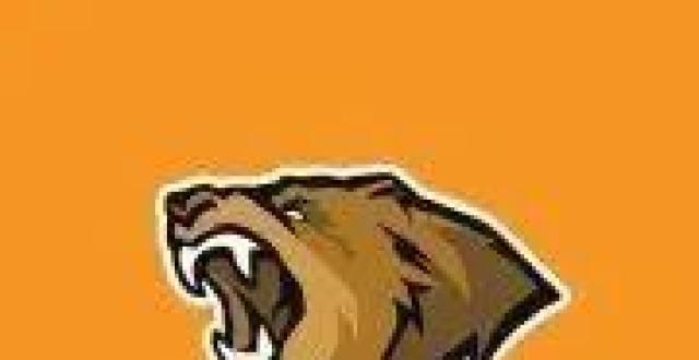 微波渐起，已见涟漪！LVG 1-2惜败G2_腾讯新闻