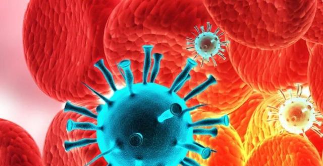 明明肠道病毒EV71抗体阳性，为何肠道病毒核酸阴性_腾讯新闻