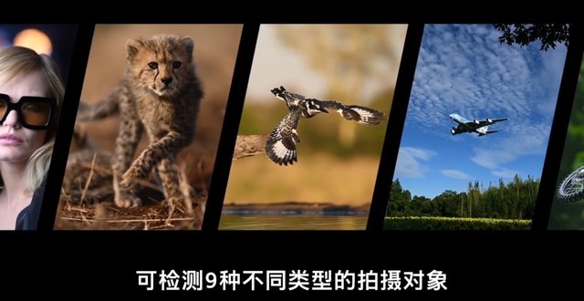 35999元影像行业变革 尼康Z9旗舰相机解析_腾讯新闻