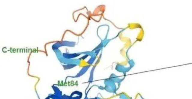 AlphaFold加速药物研发，发现首个CDK20的小分子抑制剂_腾讯新闻