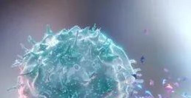 ADCP 效应或成 PD-L1 抑制剂的“秘密武器”_腾讯新闻