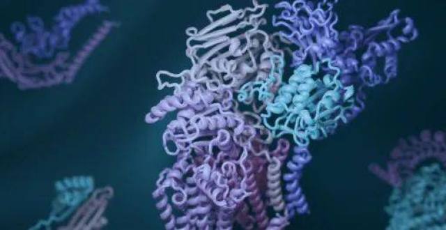 Science重磅：AlphaFold2从830万蛋白质中挑出了700种“复合物”_腾讯新闻