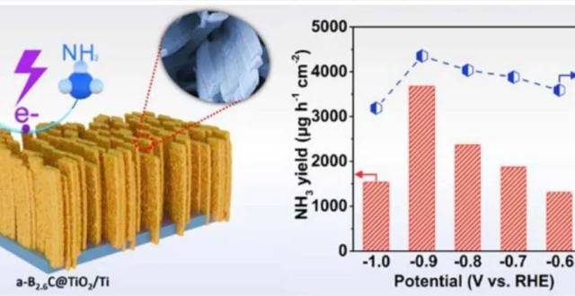 孙旭平团队Angew：负载碳化硼的 TiO2 纳米阵列，助力NO电催化还原！_腾讯新闻
