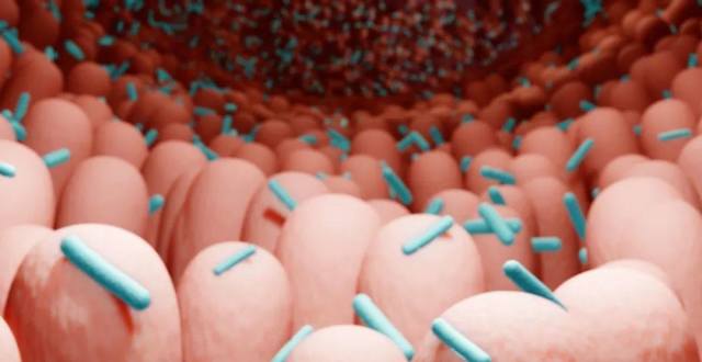 Front.Microbiol.栏目主编赵立平教授：肠道微生物研究领域的挑战与展望_腾讯新闻