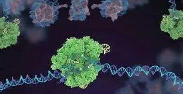 【Nature】CRISPR-Cas9设计新药靶向难以治疗的肿瘤，显示出抑制肿瘤生长的巨大前景_腾讯新闻