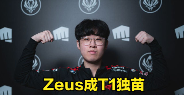 外媒评MSI决赛最佳阵容：RNG中下野辅入选，Zeus成T1独苗_腾讯新闻